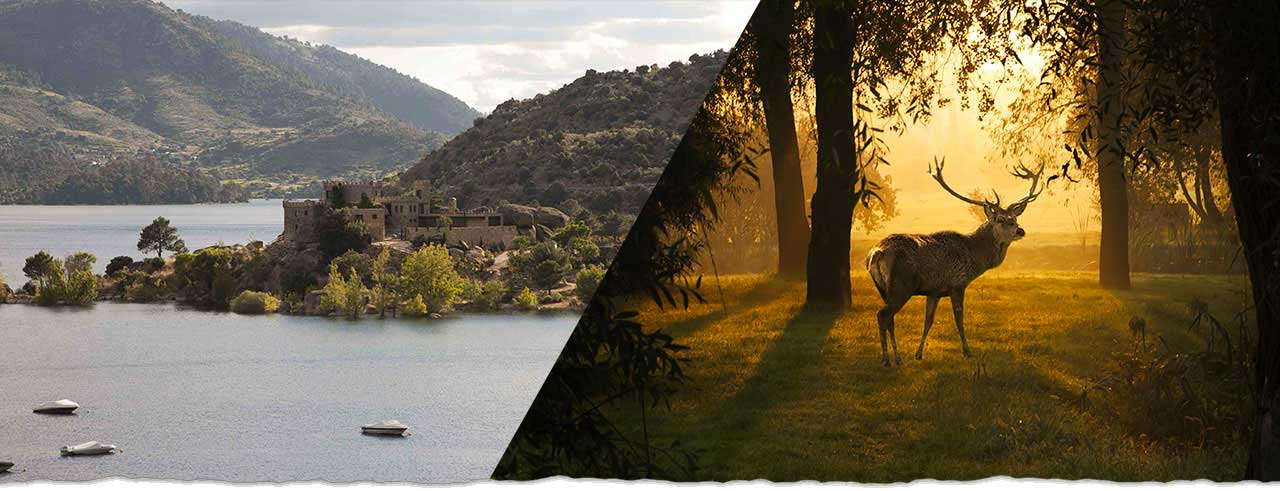 Hunting & Tourism in Spain - HuntingSpain.com