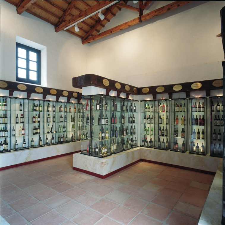 Italy’s Wine Bank: The Only Fun Bank to Visit – Fein Wein